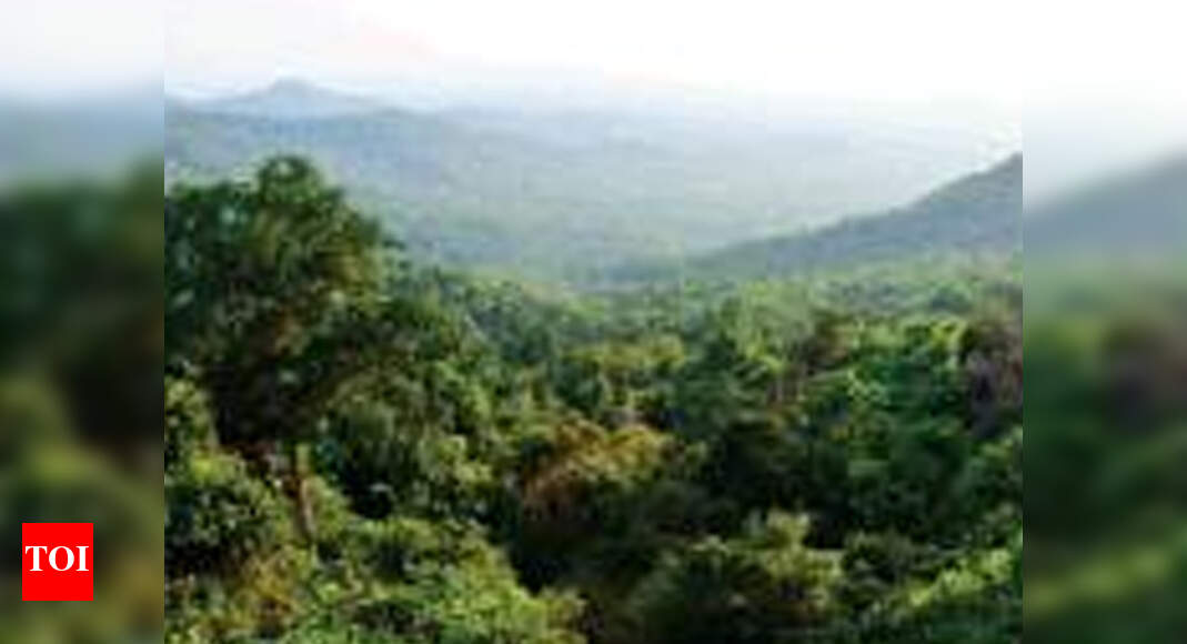 Centre looks for consulting agencies to bring amendments to colonial ...