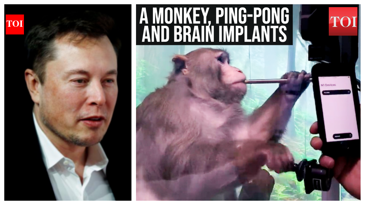 Watch Elon Musk’s Monkey play Ping-Pong using brain implants