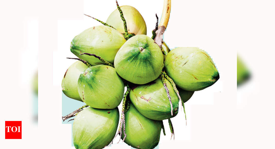 Gujarat: Stop! Check if your coconut water is pesticide-free ...
