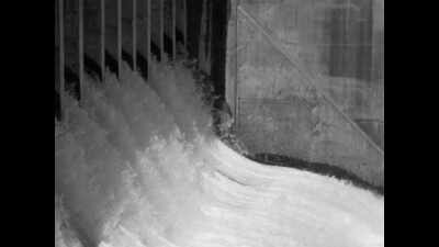 As summer sizzles, water levels at Anjunem, Selaulim under 50% | Goa ...