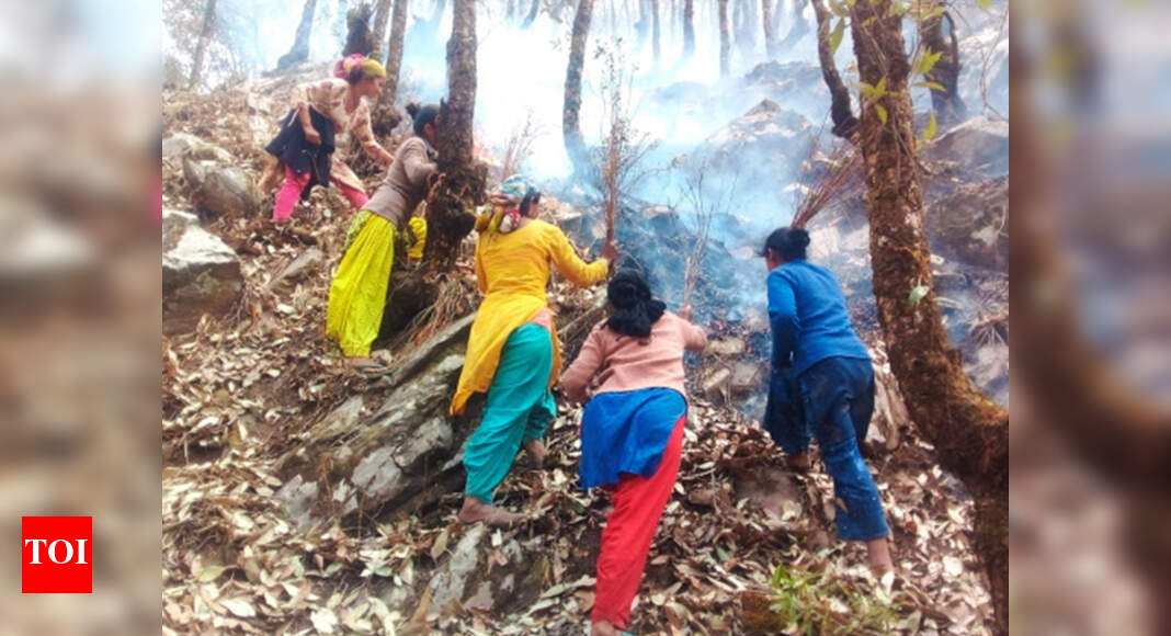 Villagers are stepping up to stop the fires devouring India’s forests ...