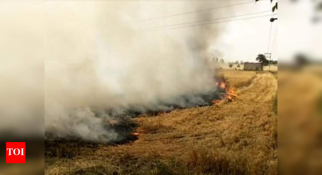 Haryana: About 80 acres of standing wheat crop gutted in fire in Pehowa ...