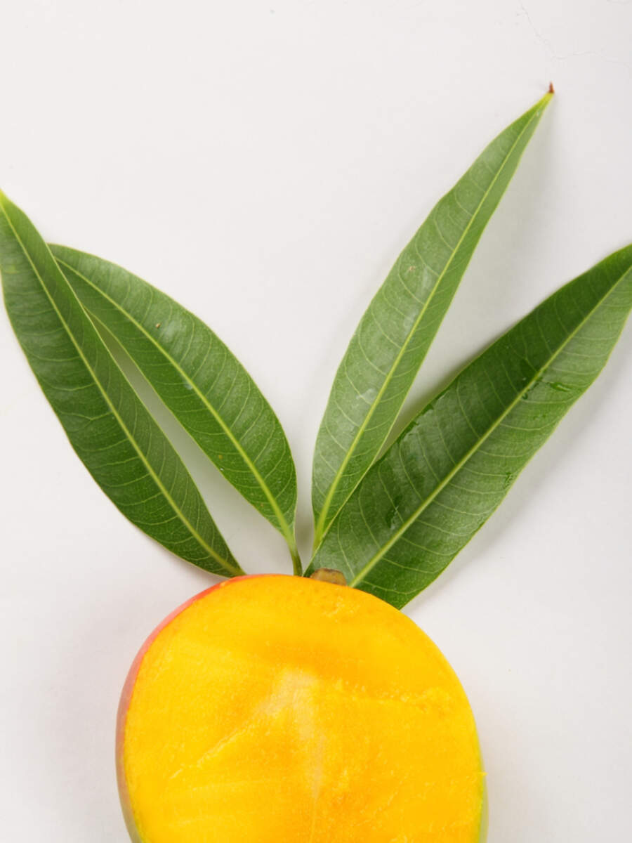 Amazing beauty benefits of MANGO | Times of India