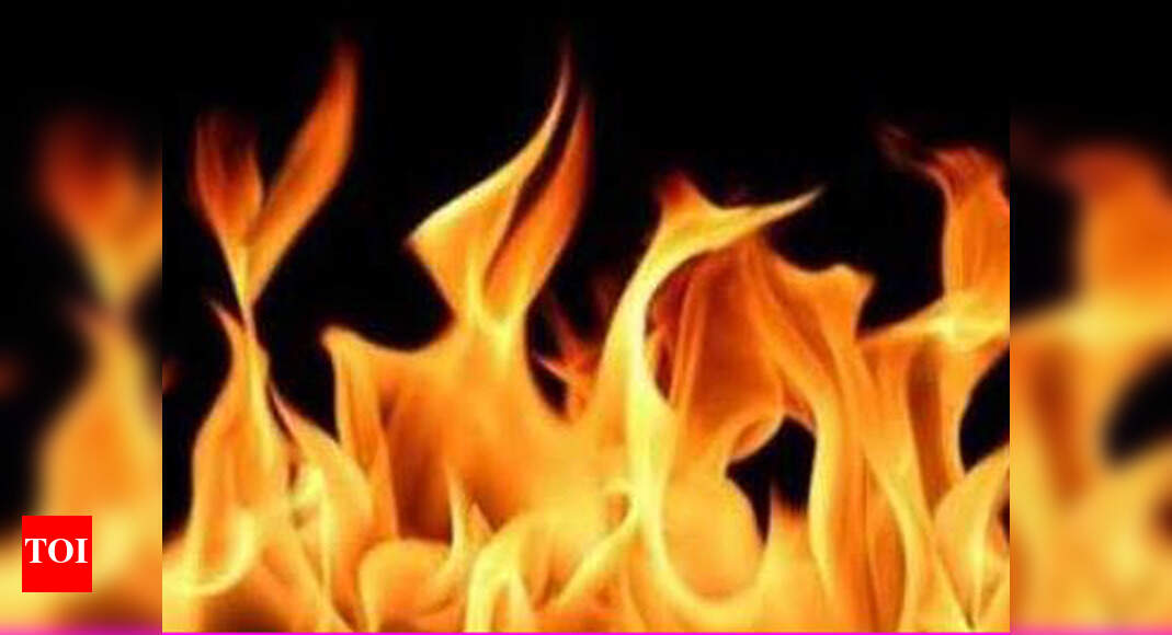 Fire in Delhi: Fire breaks out in shanties in southeast Delhi area, no ...