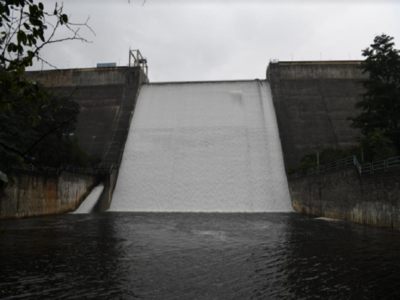 Tamil Nadu: Water level in Sothuparai dam goes up by 9 feet in single ...