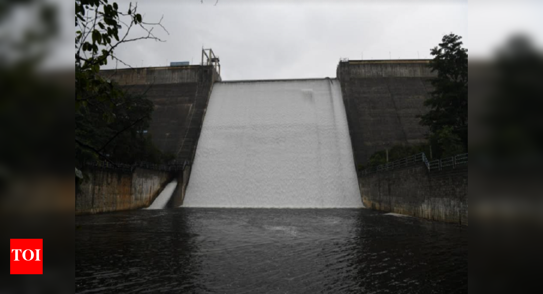 Tamil Nadu: Water level in Sothuparai dam goes up by 9 feet in single ...