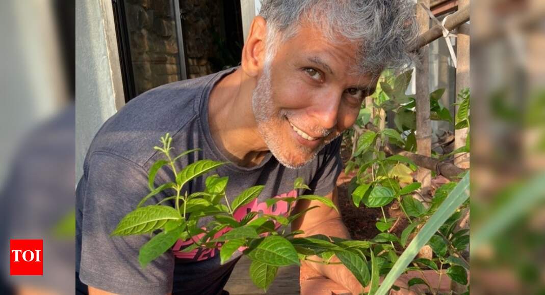 Milind Soman and Ankita celebrate their anniversary by planting a tree ...