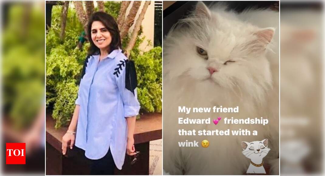 Neetu Kapoor bonds with Alia Bhatt's cat Edward; calls him her 'new ...