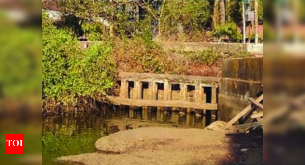 Many khazan lands now in hands of private owners in Goa | Goa News ...
