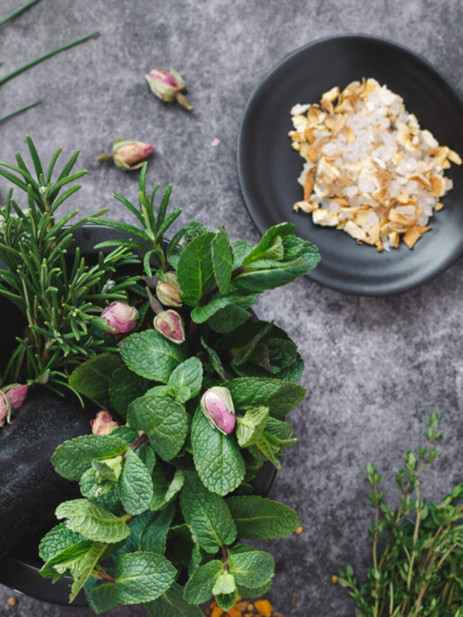 Herbs to boost your immunity | Times of India