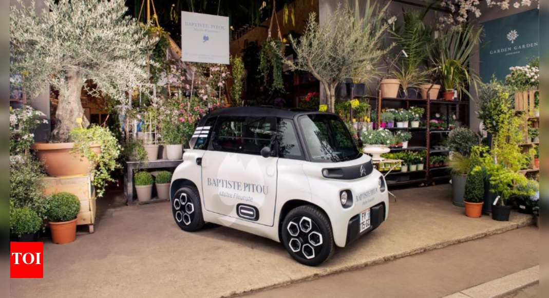 Citroen Ami Cargo EV: Citroen debuts Ami Cargo EV: Compact, quirky and ...