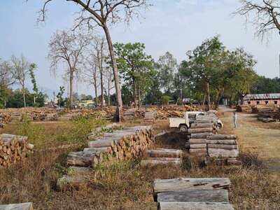 Uttarakhand government to give free wood for the cremation of Covid-19 ...