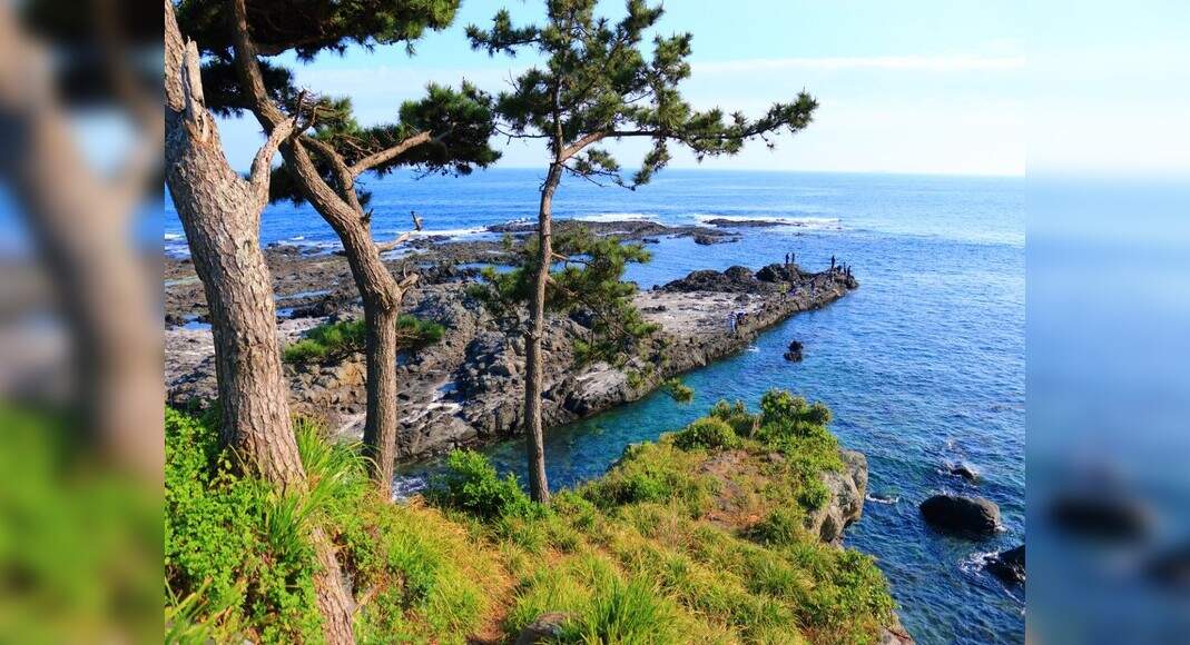 Pheasant Island: The interesting tale of Pheasant Island that changes ...