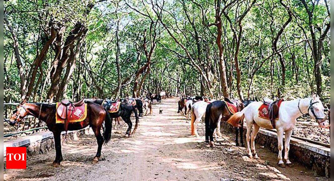 People from Pune, Mumbai raise funds to feed horses in Matheran ...