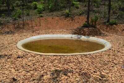 Four new water holes built in Keri forest | Goa News - Times of India