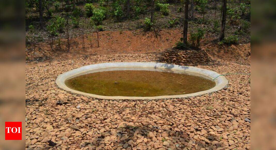Four new water holes built in Keri forest | Goa News - Times of India