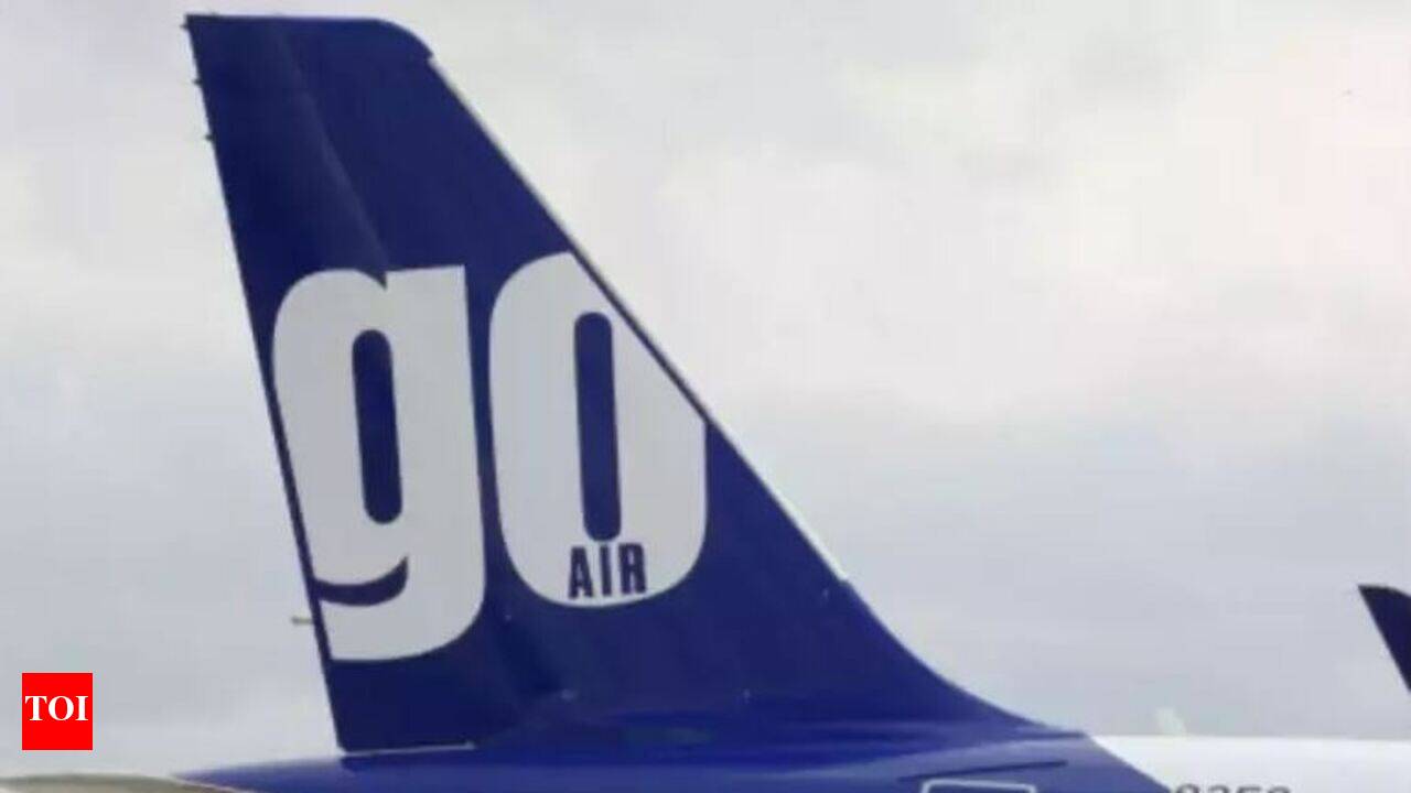 Go Air Airlines Logo