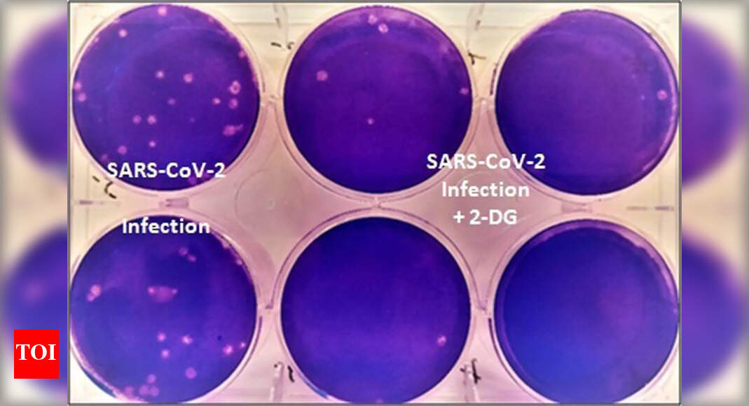 What is 2DG medicine: All you need to know about DRDO's 2-deoxy-D ...