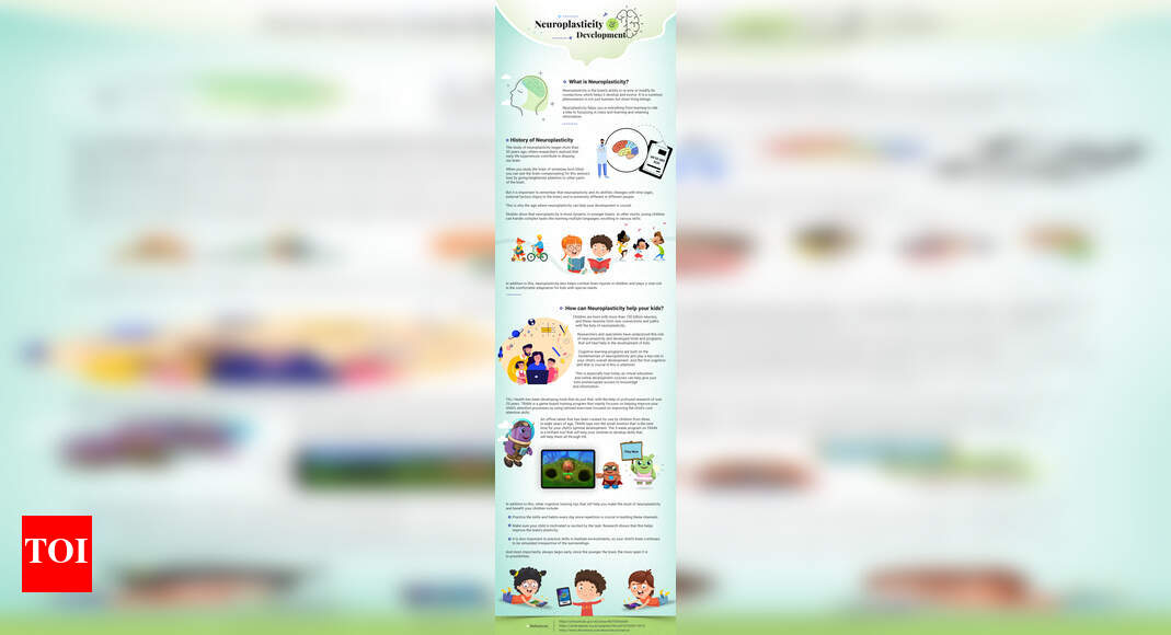 Infographic: Neuroplasticity and your child's development - Times of India