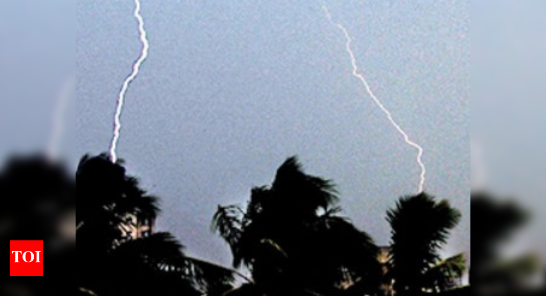 Odisha: Deaths in lightning strikes down by 62% in four years | Cuttack ...