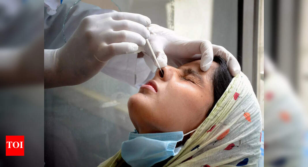 RT PCR Test - Times of India