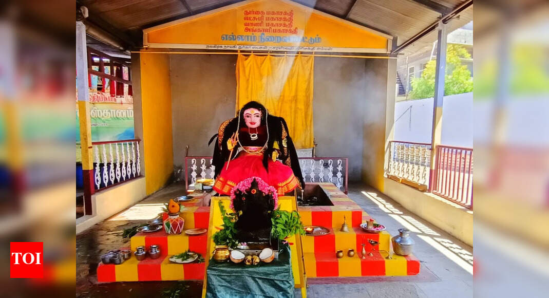 Now, a temple for ‘Corona devi’ in Coimbatore | Coimbatore News - Times ...