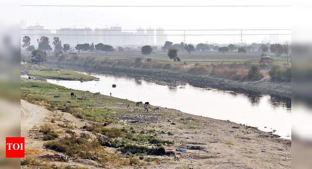 STPs no longer polluting Hindon river: UPPCB | Noida News - Times of India