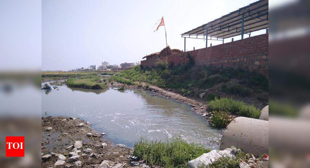 Yamuna shockingly dirty, NGT directs Uttar Pradesh to look into ...