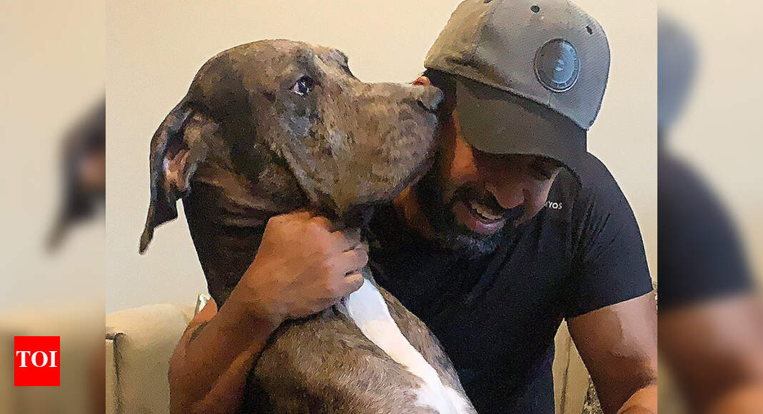 Arun Vijay's fun training session with his pet dog | Tamil Movie News ...