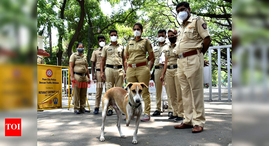 Raja: Meet Special Police Officer Raja, the vigilant dog that’s helping ...