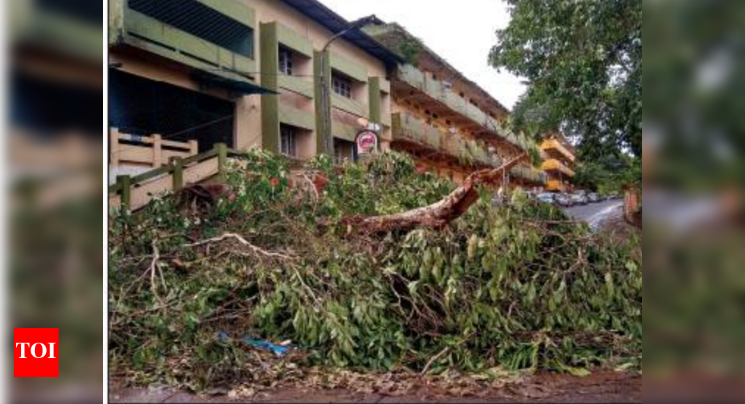No significant impact of Cyclone Yaas on Goa: India meteorological ...