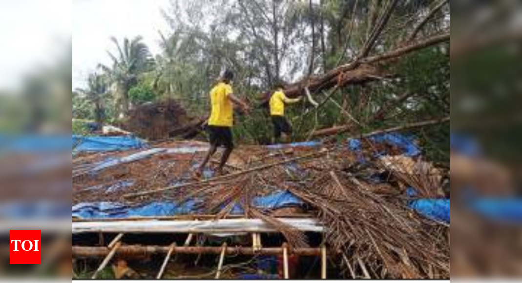 Goa: Arambol animal shelter rebuilt after Cyclone Tauktae damage | Goa ...