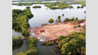 Goa: Merces water body in khazan land reclaimed under cover of curfew ...