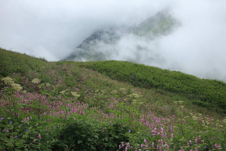 Ghangaria, a beautiful village enroute the Valley of Flowers and ...