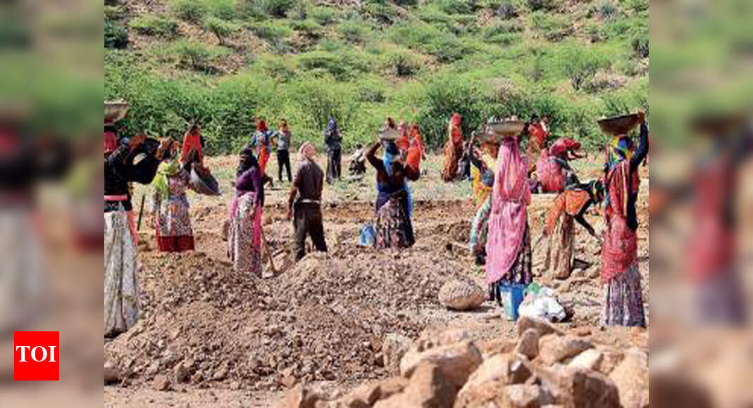 Rajasthan: 10 labourers can be engaged at a worksite, says rural ...