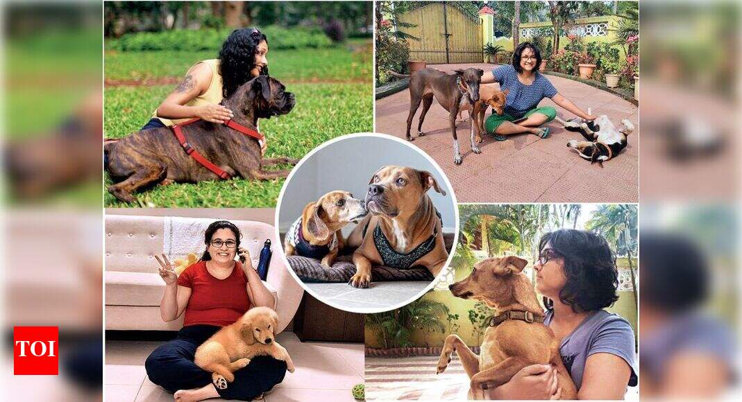 Cuddle therapy can relieve stress, but don't force it on your pooch ...