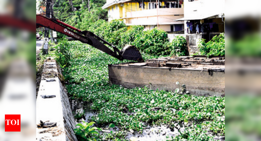 Operation Breakthrough fails to end waterlogging in Kochi | Kochi News ...