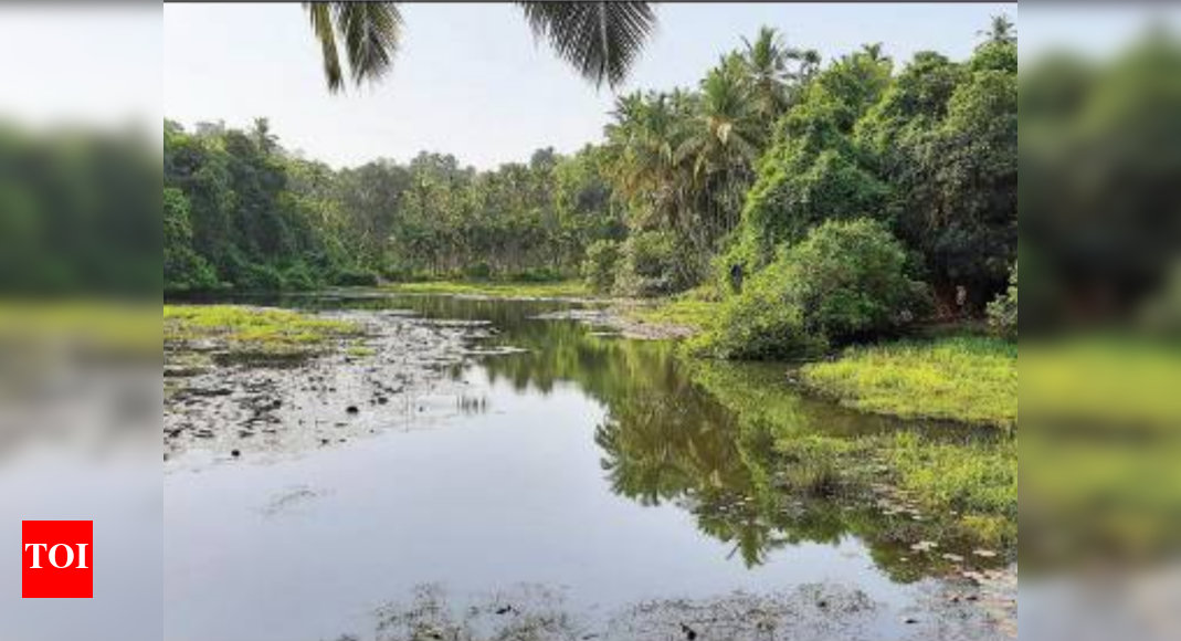 Wetlands need to be protected for Goa’s ecological security: Expert ...