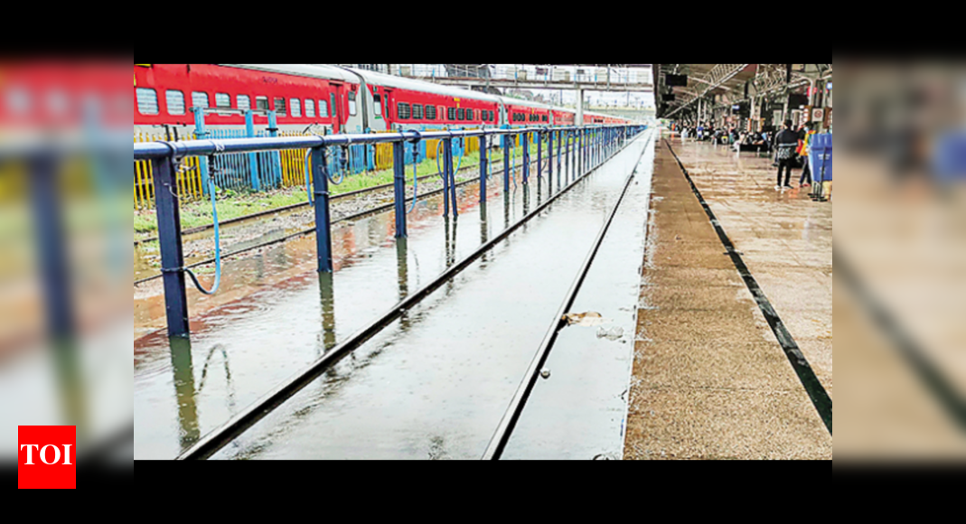 Cyclone Yaas: Trees uprooted, movement of trains hit in Bihar | Patna ...
