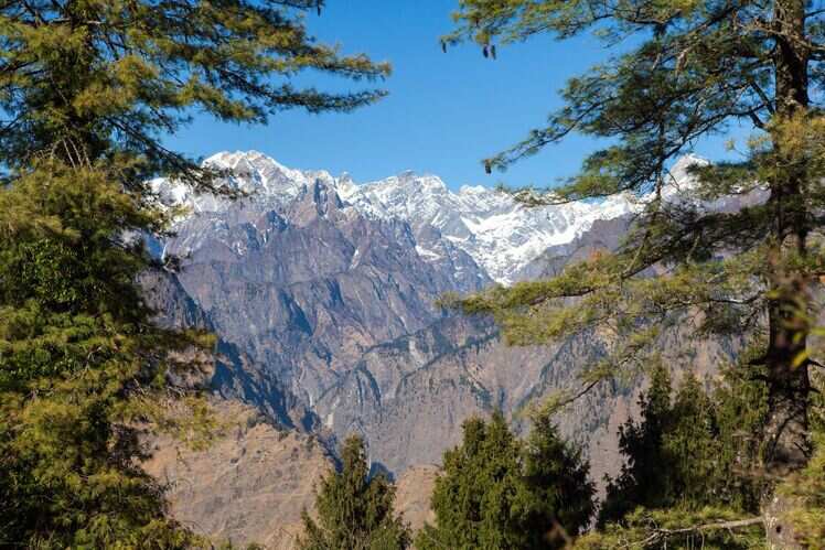 Remembering Sunderlal Bahugana, the man behind Chipko Movement | Times ...