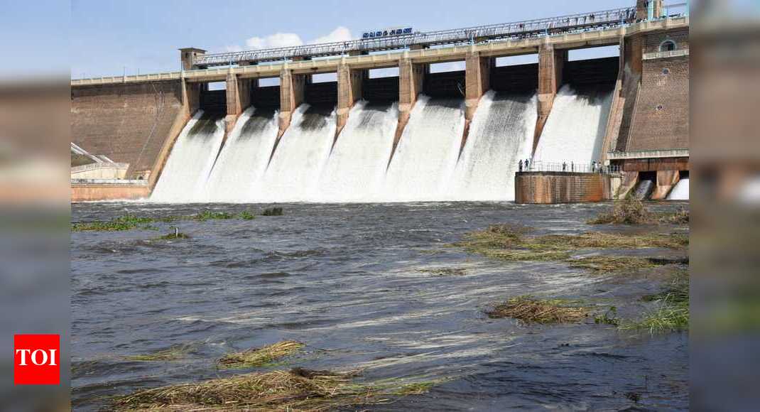 Water released from Vaigai dam | Madurai News - Times of India