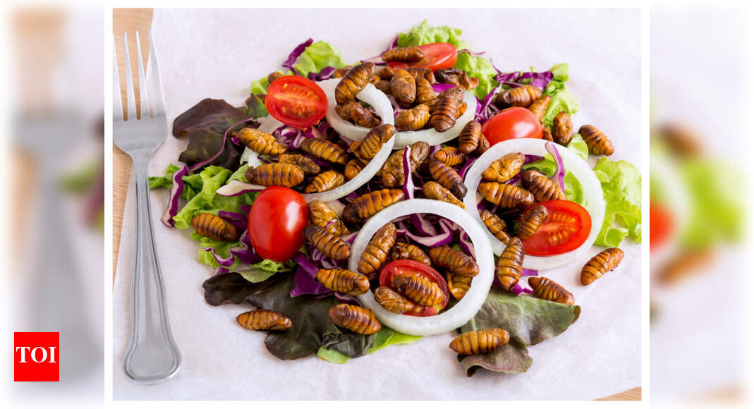 This Paris eatery has a weird insect based menu, are you up for it ...
