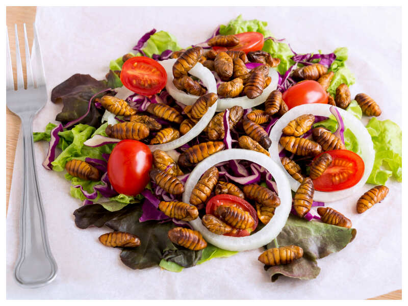 This Paris eatery has a weird insect based menu, are you up for it ...