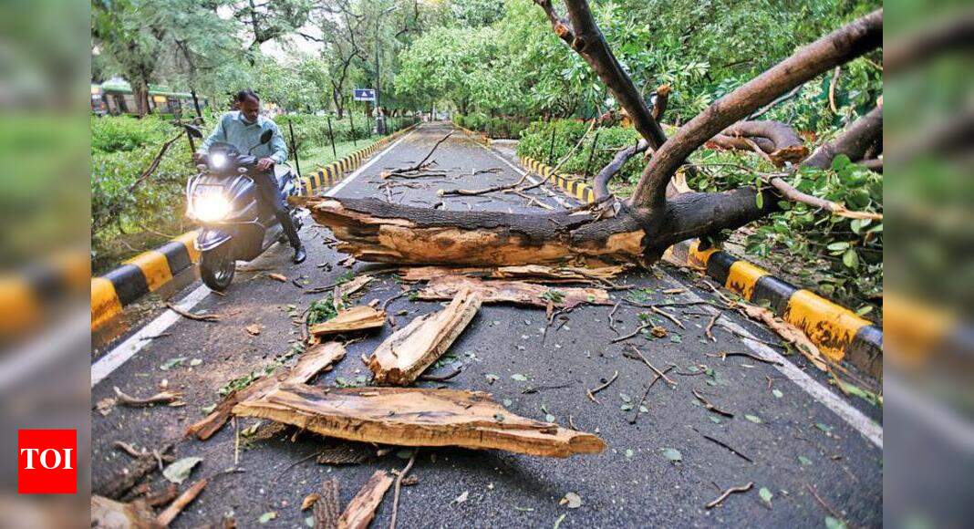 Rain, Hail Cool Down City As It Finds Itself In Eye Of A Storm | Delhi ...