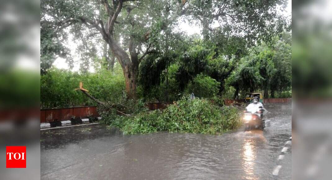 Thunderstorm, strong winds in Delhi; over 90 trees uprooted, building ...