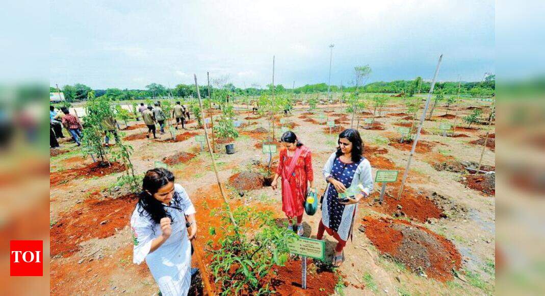 1,200 more trees planted in Mumbai | Mumbai News - Times of India