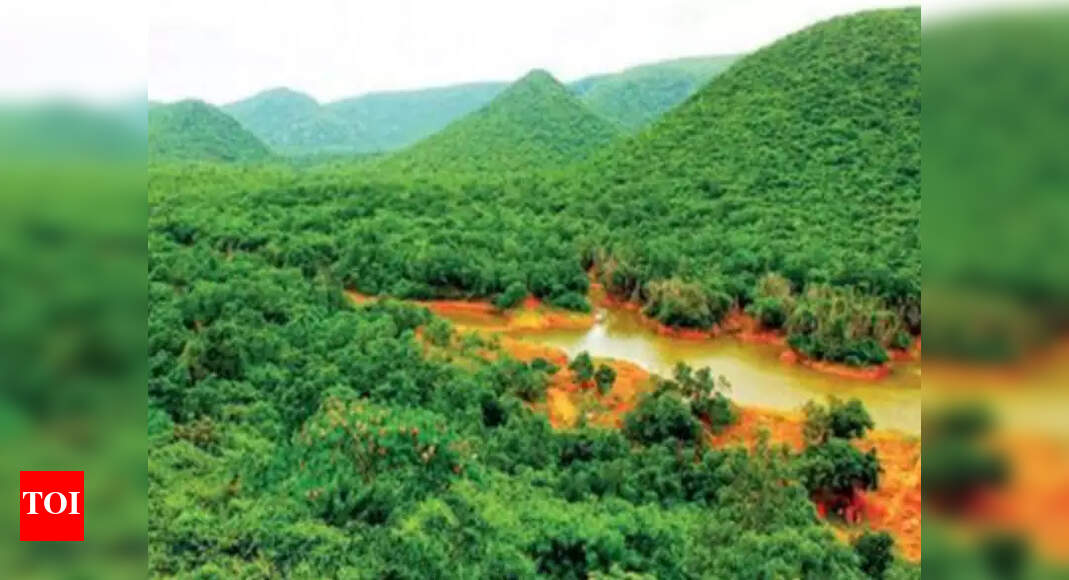 Chhattisgarh government to present it's forest policy at London ...