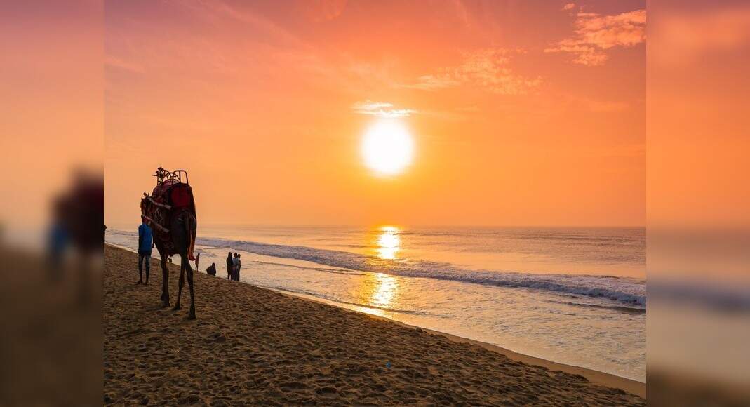 Orissa Beaches: Most popular and pretty beaches of Orissa | Times of ...