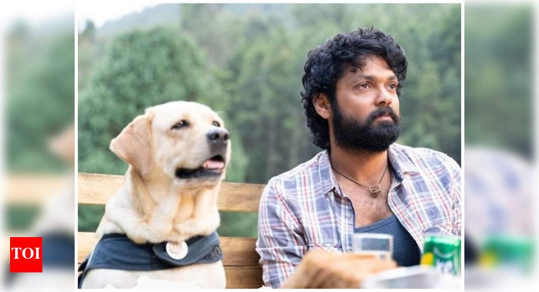777 Charlie: Celebs heap praise on the teaser of '777 Charlie' | - The ...