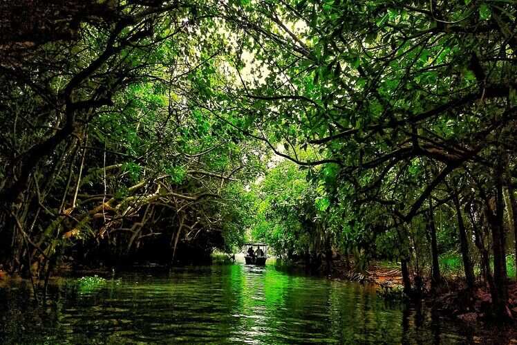 Kerala Backwaters: Offbeat Kerala backwaters for a peaceful vacation ...